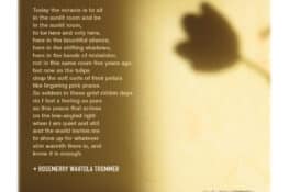 Free Broadside: Apricity - Word Woman